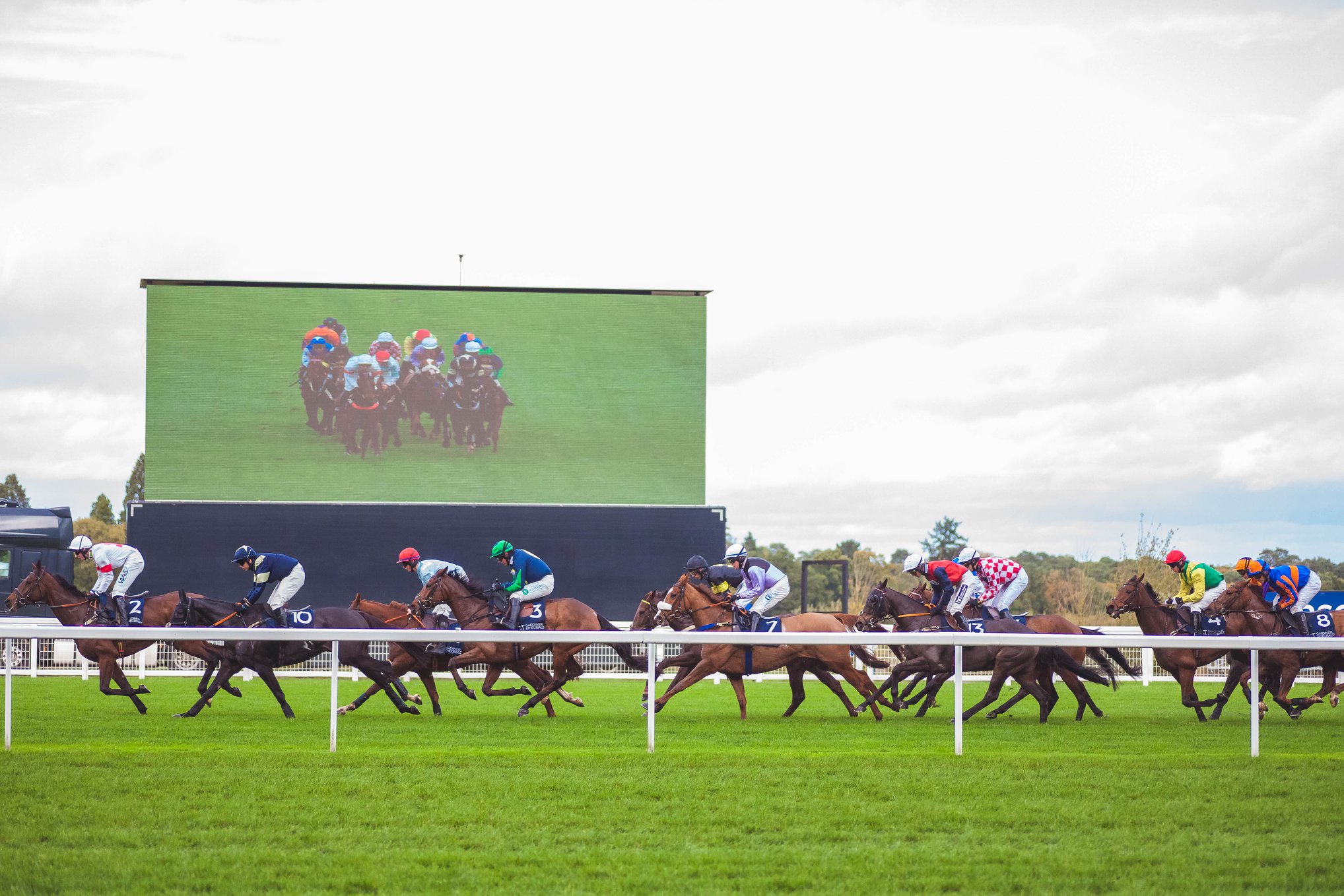 Experiencing Ascot for the first time - International Students House