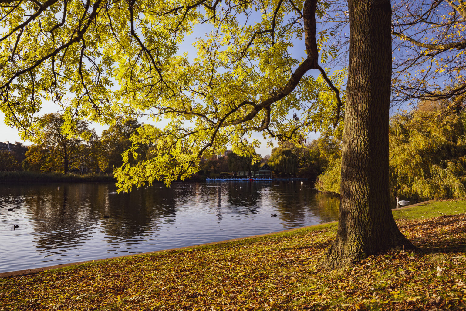 How to Prepare for Autumn in London - International Students House