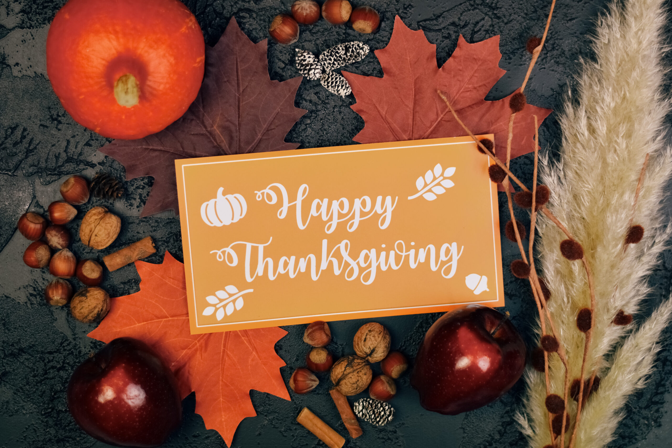 What Is Thanksgiving International Students House